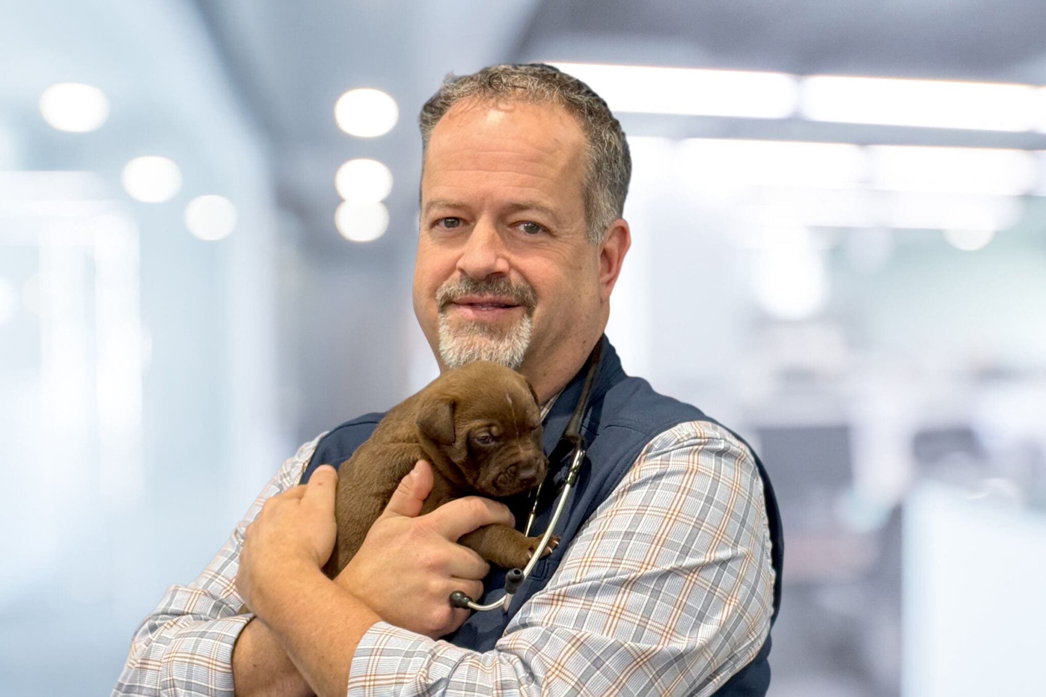 Our Vet Team in Greenville, SC | Partners Animal Hospital - Greenville